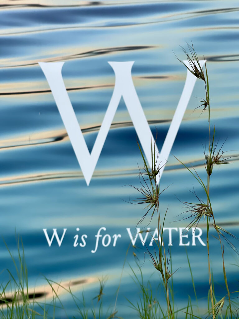 Water Stories: Exhibition, Walkshop and Rizzeria Workshop | Mapping Edges